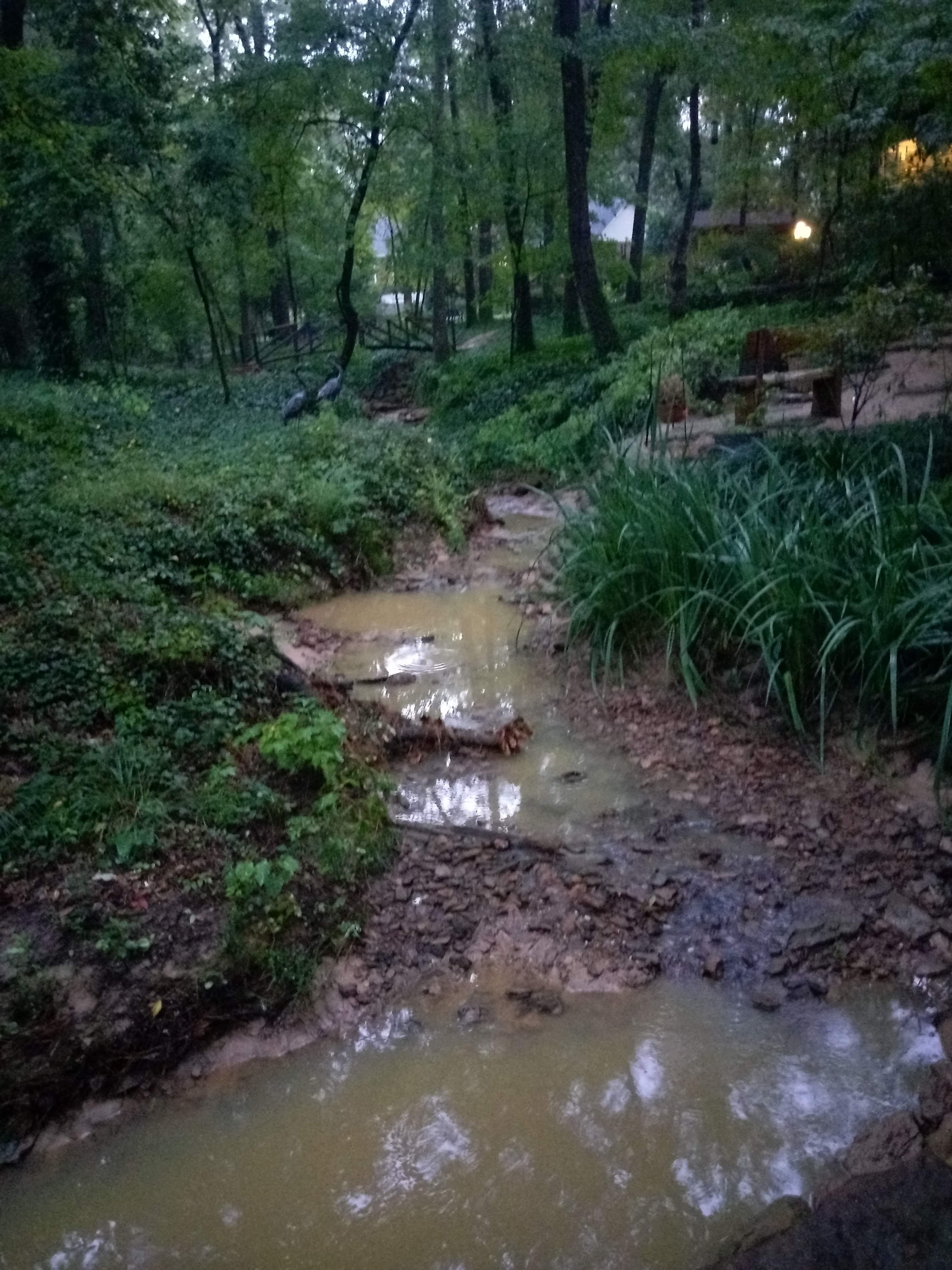 The Journey: Africa to Tyler Garden Oasis to Miami. | Penny Dickerson