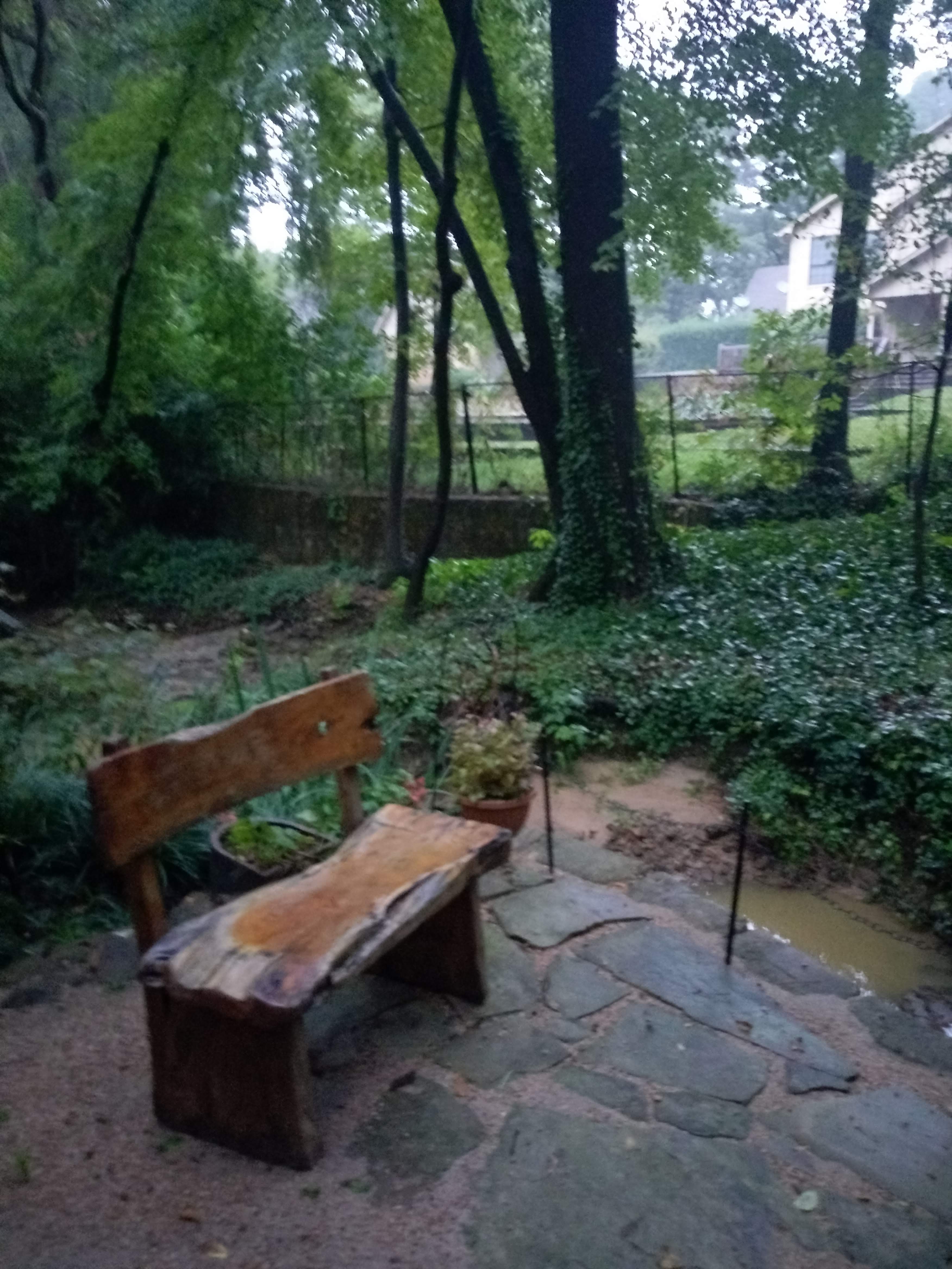 The Journey: Africa to Tyler Garden Oasis to Miami. | Penny Dickerson